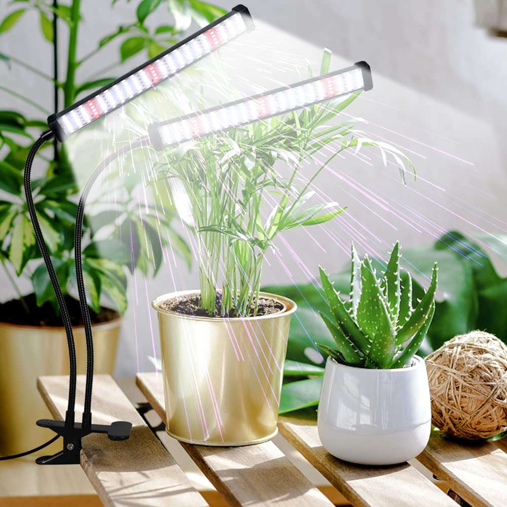 Growing Plants With A Desk Lamp - An Easy Guide For Plant Lovers ...