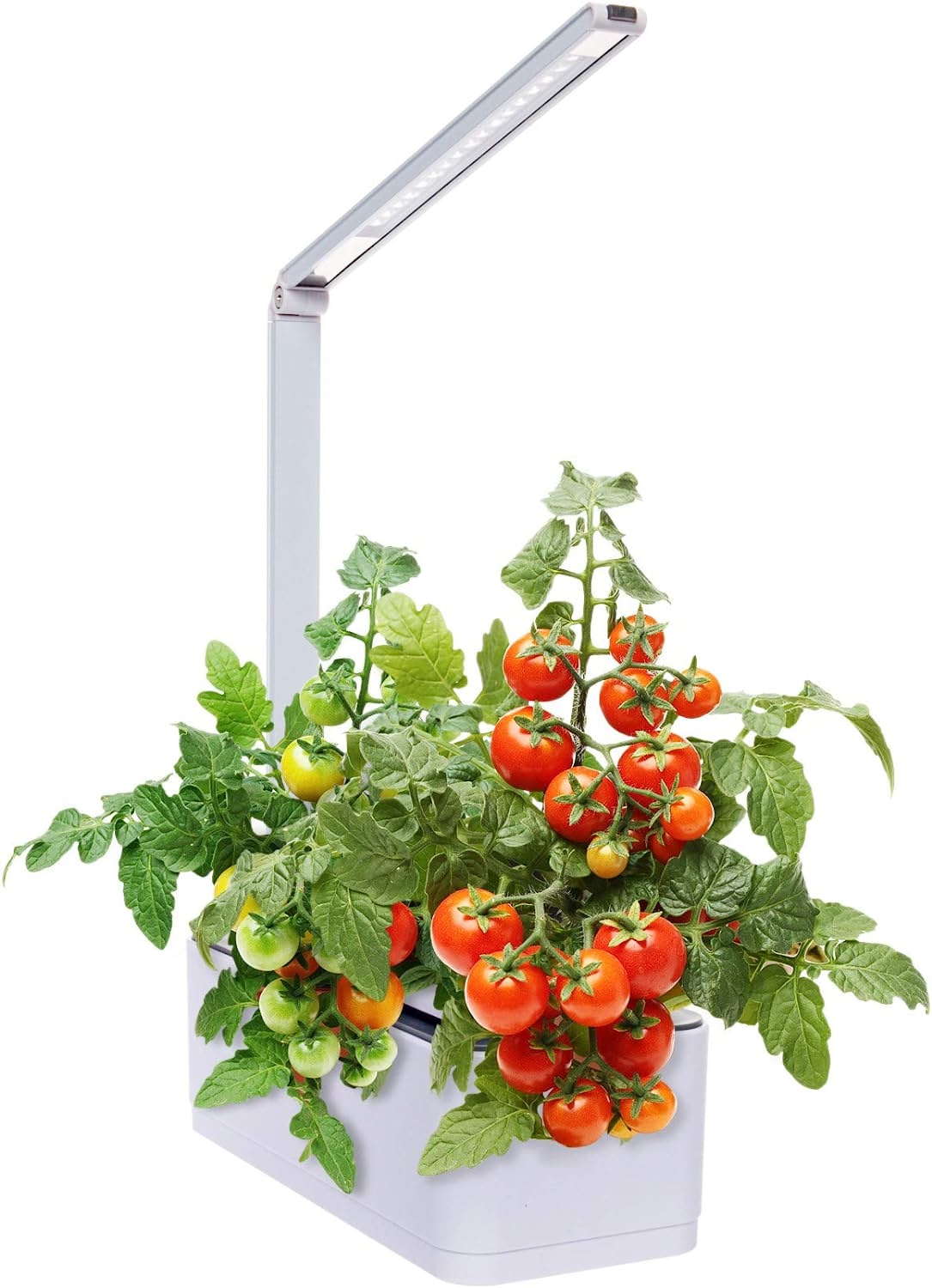 Growing Plants With A Desk Lamp - An Easy Guide For Plant Lovers ...